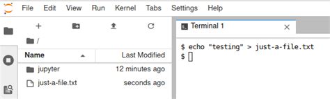 Build A Remote Management Console Using Python And Jupyter Notebooks