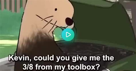 Sea Otters Are The Only Marine Mammal That Use Tools Though Their