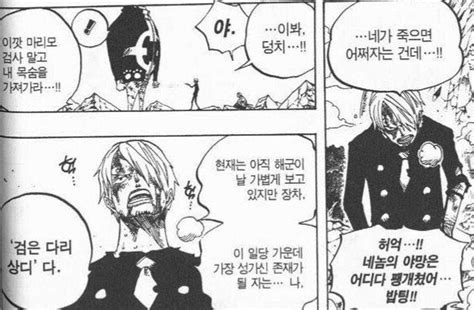 ㅈ간지시절 롤로노아 조로 유머 움짤 이슈 에펨코리아