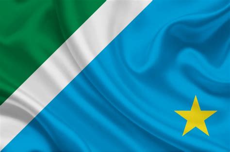 Bandeira Oficial Do Estado Do Mato Grosso Do Sul Ecco Bandeiras