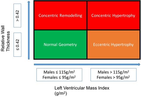 Defining Lv Geometry Download Scientific Diagram