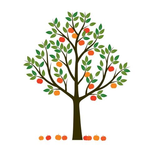 Fruits Outline Vector Images Over