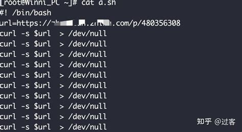 14课笔记linux基础shell脚本中的变量 知乎