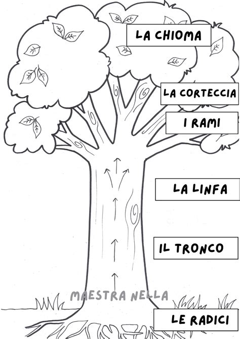 Maestra Nella 21novembre Io Sono Come Un Albero