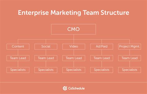 Marketing Department Definition Roles Benefits And Structure
