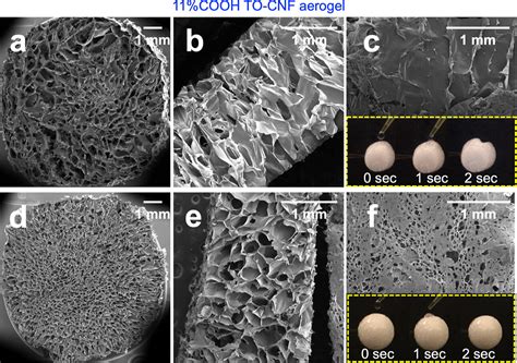 Protonation Of Surface Carboxyls On Rice Straw Cellulose Nanofibrils