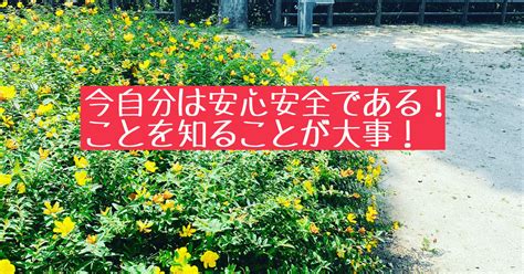 『今自分は安心安全であること』を知ることが大事！﻿｜フランキー兄さん緊張あがり症・不安解消専門コーチ｜note