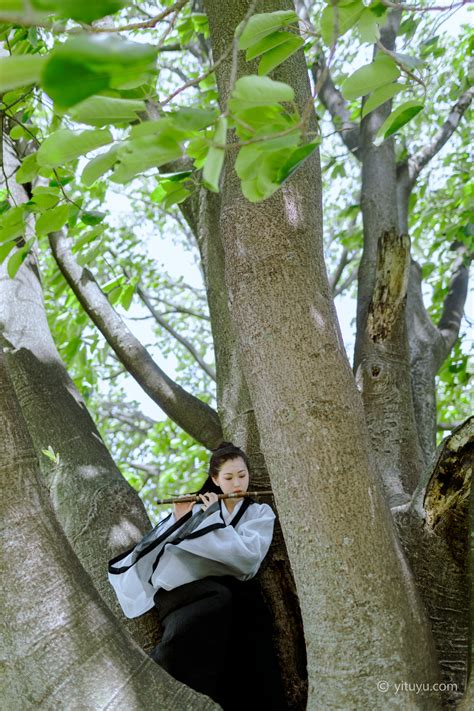 艺图语 20210609 风之子 静静 微图坊