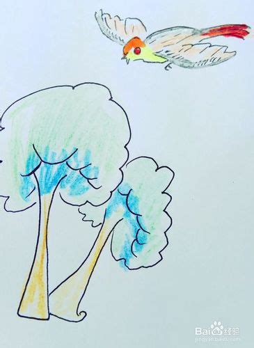 夜晚天空的飞鸟简笔画 简笔画图片大全 普车都