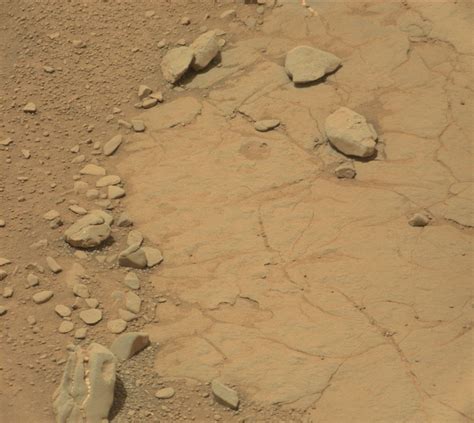 Mars Curiosity Rover Discovers Fossilized Ancient Dinosaur Skull With