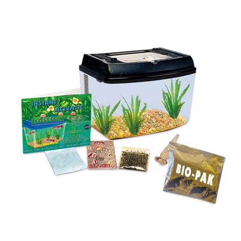 Triassic Triops Deluxe Kit Carolina Biological Supply