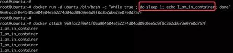 5 分钟 Docker 笔记 3：容器 Keep Coding 苏易北