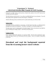 SDS PAGE Western Blot Protocol For RGFP Fractions Lab Safety