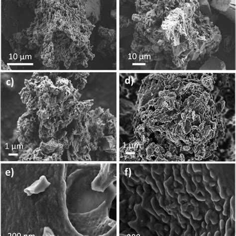 Pore Size Distribution Of The Activated Carbons Obtained Through A Download Scientific