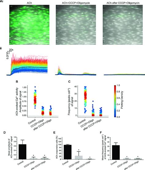 The Uncoupler Cccp And Atp Synthase Blocker Oligomycin Inhibited