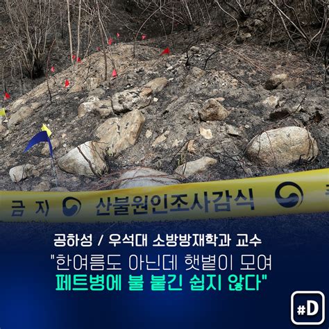 포켓이슈 담배꽁초 페트병 역대급 산불 진짜 원인은 나무뉴스