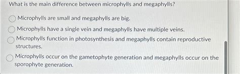 Solved What Is The Main Difference Between Microphylls And