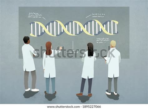 Scientists Examining Discussing Dna Double Helix Stock Illustration