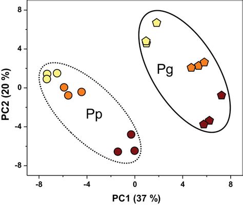 Principal Component Analysis Pca Plot Of The First Two Principal