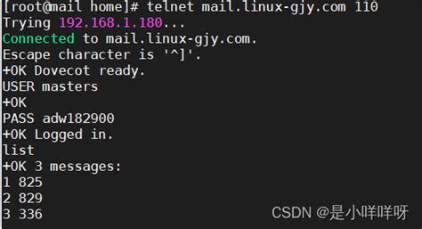 使用centos 7配置邮件服务 第四篇centos搭建简单的邮件服务器 Csdn博客
