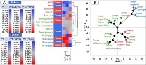 Hierarchical Cluster Analysis Of Species Module Combinations Based Download Scientific