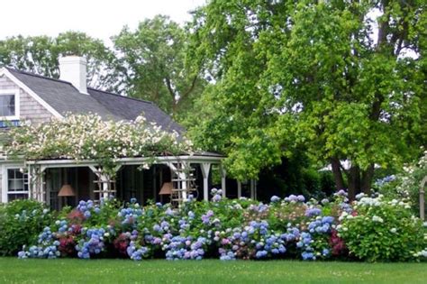 18 Excellent Landscaping With Hydrangea Ideas