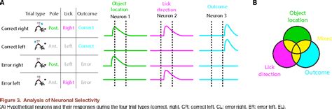 Figure 3 From A Map Of Anticipatory Activity In Mouse Motor Cortex Semantic Scholar