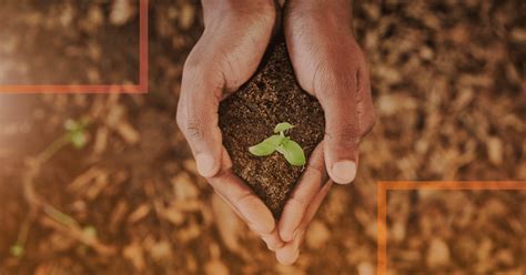 From Quiet Quitting To Emotional Commitment Engaging Employees Through