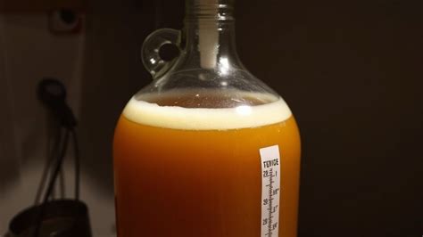How To Monitor Your Beers Primary Fermentation Brewvana