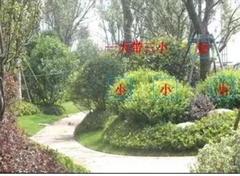 园林树木四个配置原则园林植物配置8个原则园林树木种类大山谷图库