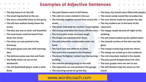 Examples Of Adjective Sentences In English