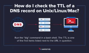 What Is DNS TTL Best Practices