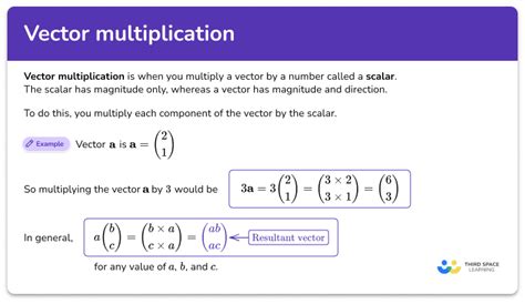 Vector Multiplication Math Steps Examples And Questions