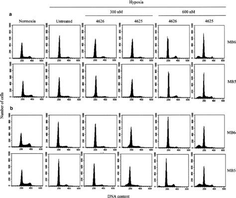 Treatment Of Melanoma Cells With A Bcl 2bcl Xl Antisense