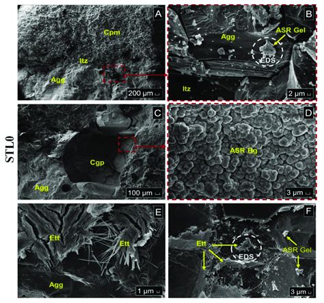 Sem Analysis Of The Microstructure Of Mortar Bars Stl0 St Sample A Download Scientific