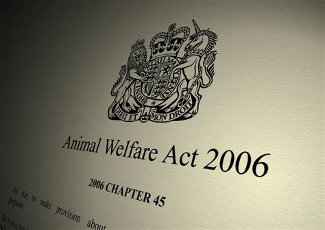 Animal Welfare Act Rspca Macclesfield Se Cheshire And Buxton Branch Cio
