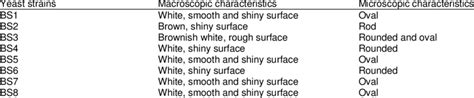 Morphological Characteristics Of The Eight Strains Isolated From Toddy