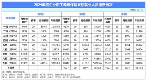 湖北灵活就业人员养老保险缴费档次表2024最新武汉生活网