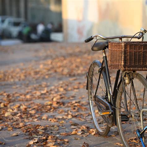 Cyclistic Bike Share Analysis Kaggle