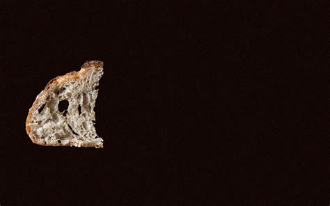 Crosta Skincare Branding And Packaging Behance