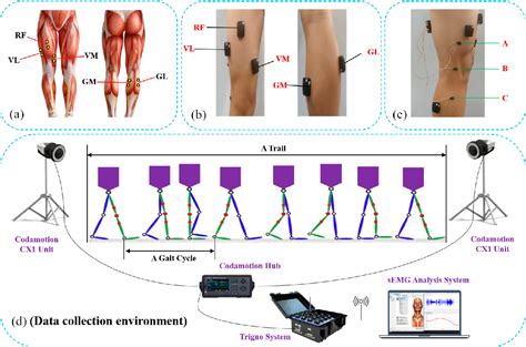 Figure 1 From Estimation Of Knee Joint Angle From Surface Emg Using Multiple Kernels Relevance
