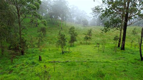 Land For Sale Serenity Estate Conondale Openlot