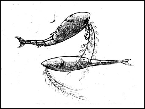 Wallace Ii Speculative Evolution Entry By Johanle On Deviantart