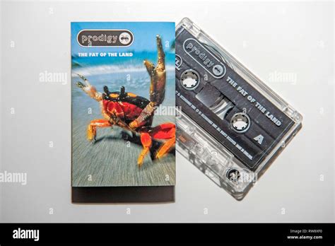 Original Cassette Album The Fat Of The Land 1997 By The Prodigy