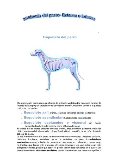 Anatomía del Perro Externa e Interna Jazmin P uDocz