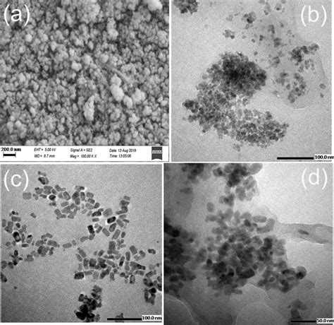 Sem Picture Of A Cds Nanoparticles And Tem Picture Of B Cg 1 C Cg 0 3 Download Scientific