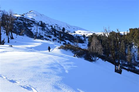 Kedarkantha Trek 2025 Package Ukhike