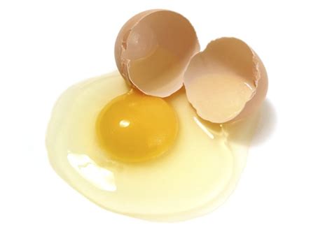 담배만큼 위험한 달걀노른자 동맥경화 유발