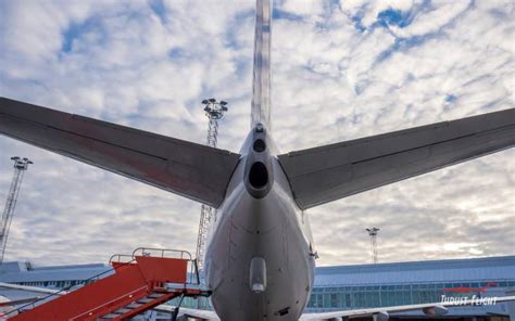 Airplane Elevator What Is It And How Does It Work Thrust Flight