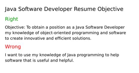 Top 18 Java Software Developer Resume Objective Examples